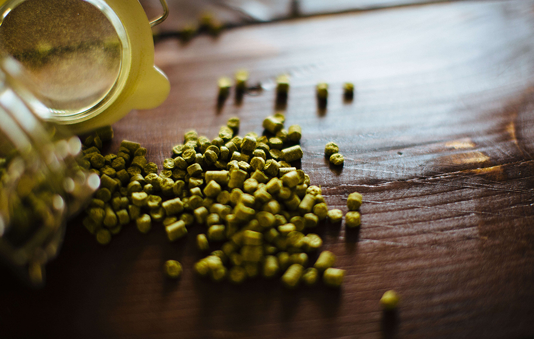 Guinness Open Gate Brewery | The Brewing Process