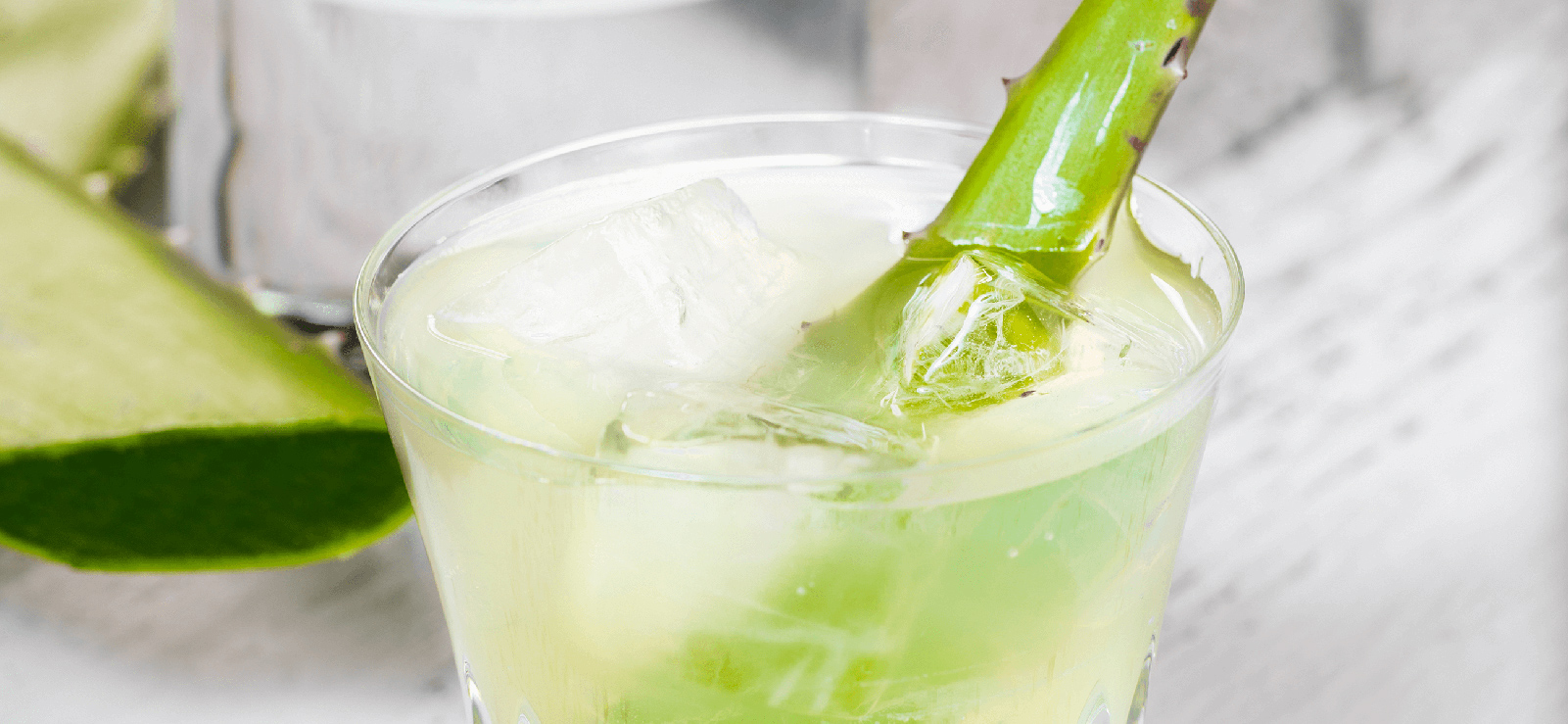 ALOE VERA MARGARITA | Casamigos | Casamigos